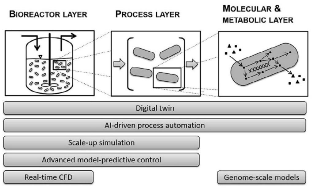 COURSE 4: A Path To Model Based Biomanufacturing - International ...